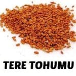 Tere Tohumunun Faydalari - Kesin Bilgici